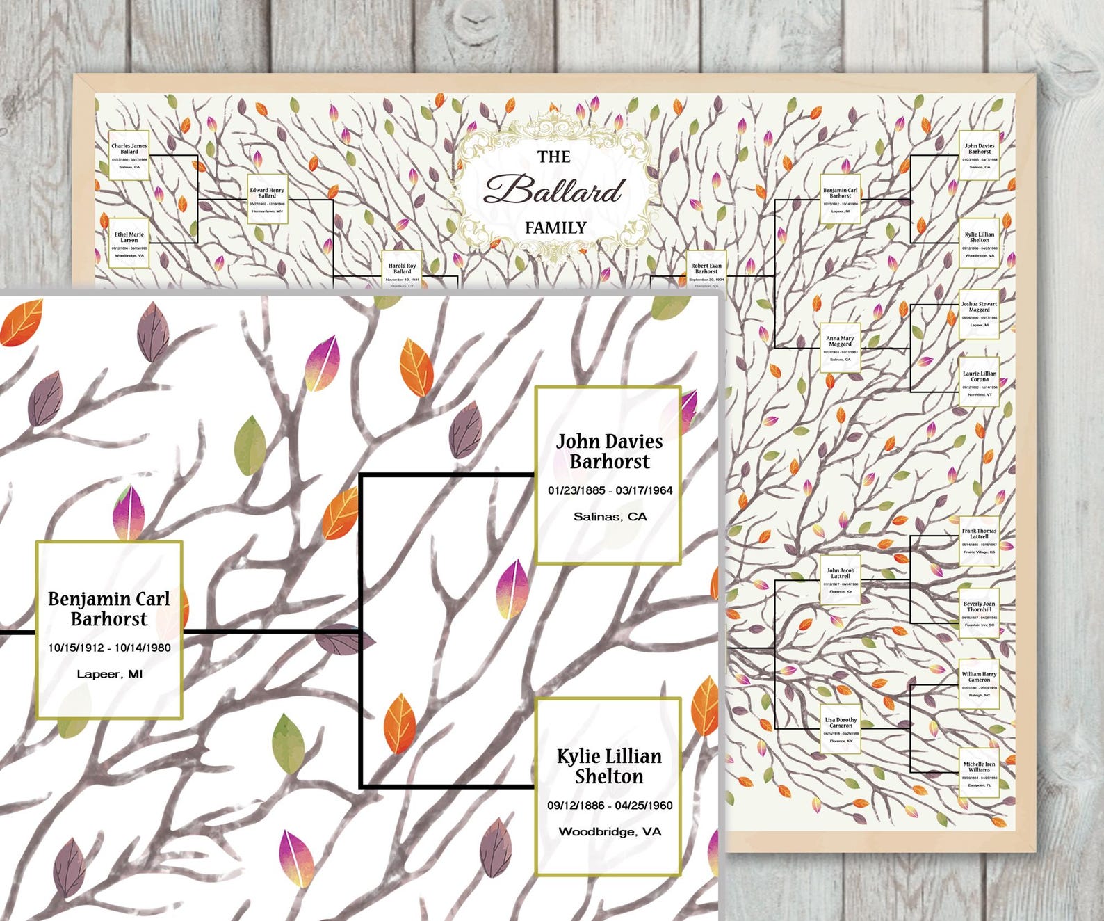 Family Tree Template for 4 Generations. Couple Old Leafy Branched Trees ...