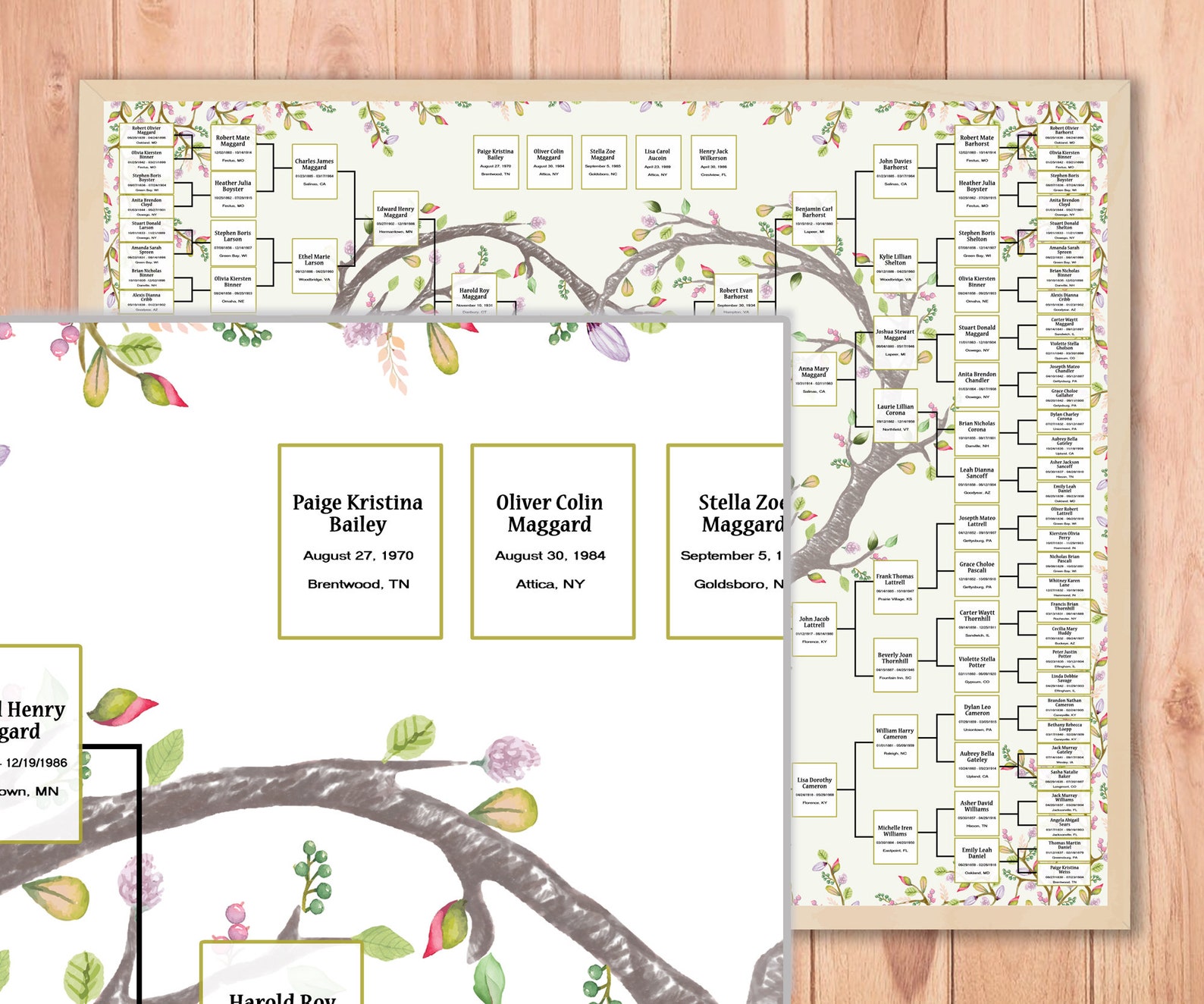 Family Tree Template for 6 Generations. Two Intertwining Heart Trees ...
