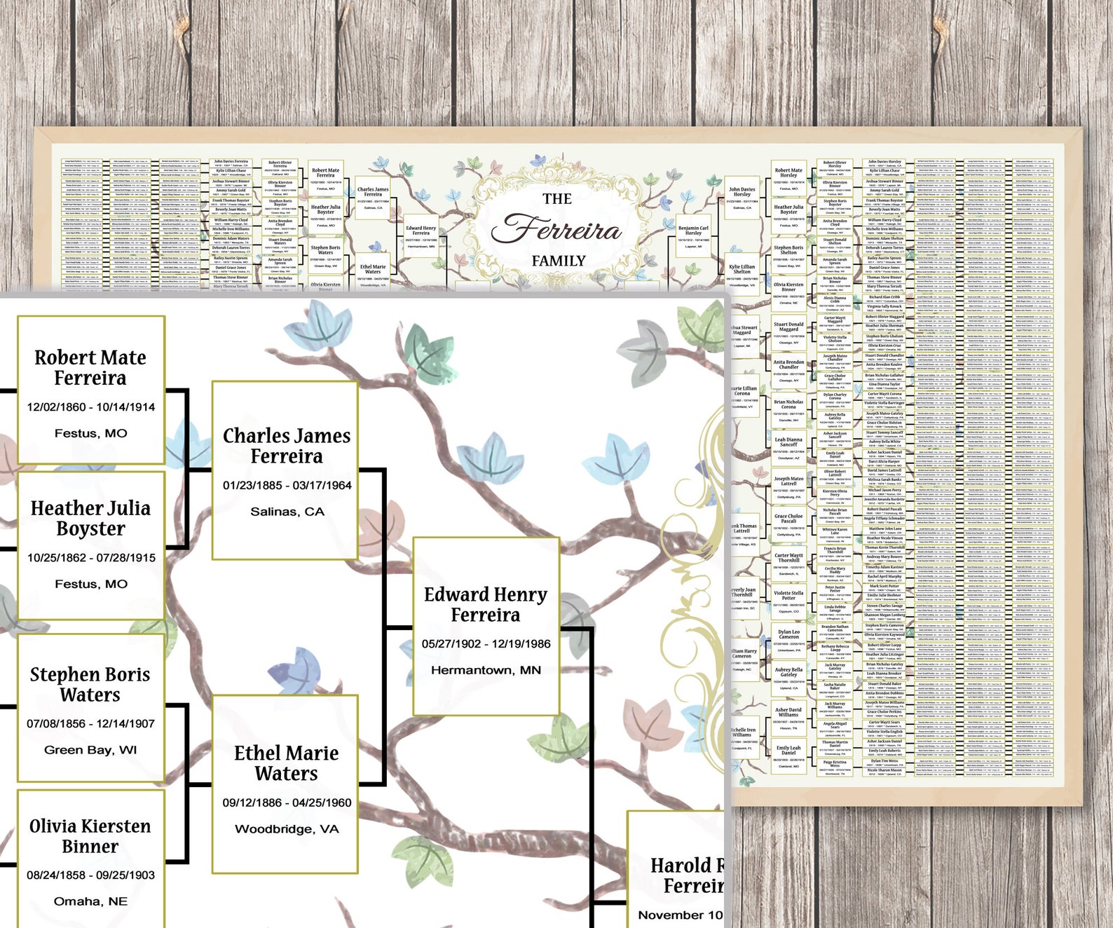 Family Tree Template for 9 Generations. Branched Tree Winter Ferri ...
