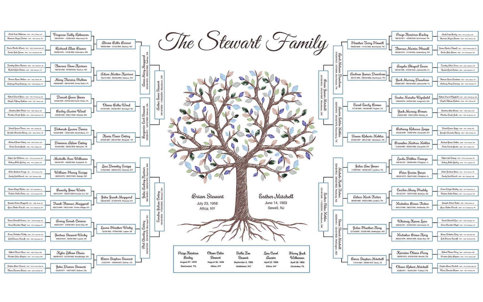 Family Tree Chart for 6 Generations. Tree With Roots Large Stivi Four ...