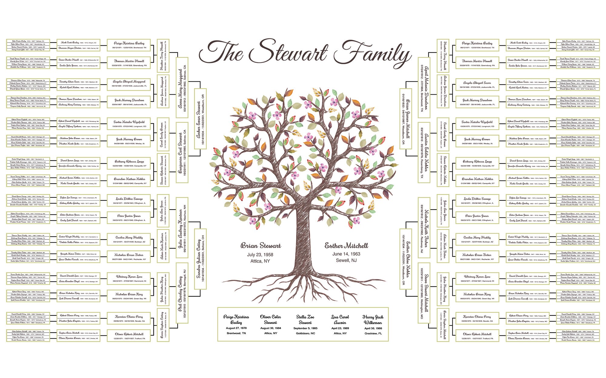 Family Tree Chart for 7 Generations. Tree With Roots Large Stivi Family ...
