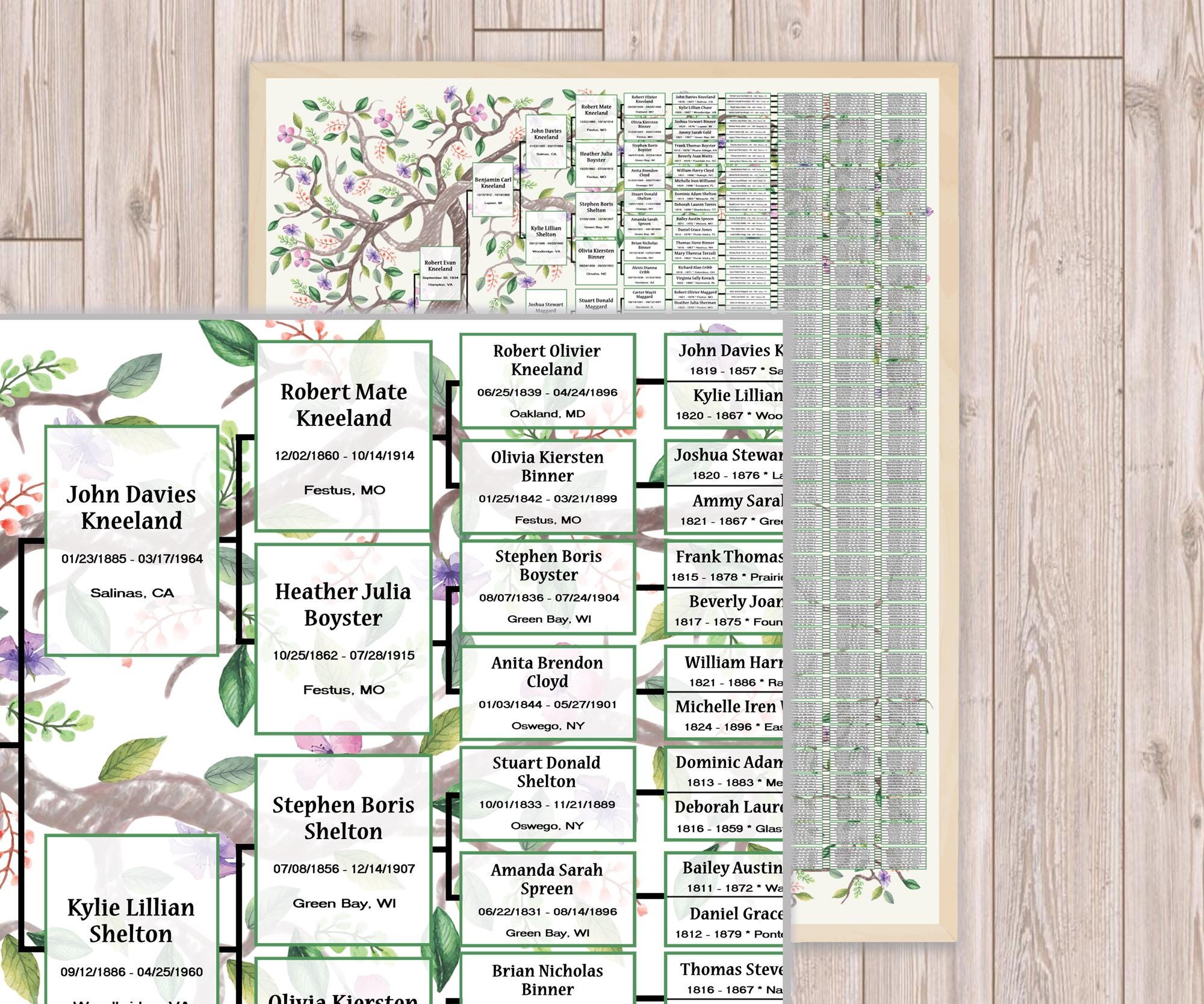 Family Tree Template for 10 Generations. Two Intertwining Trees Kneli ...