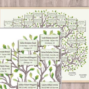 Family Tree Template for 5 Generations. Green Old Oak Tree Curved Trunk ...