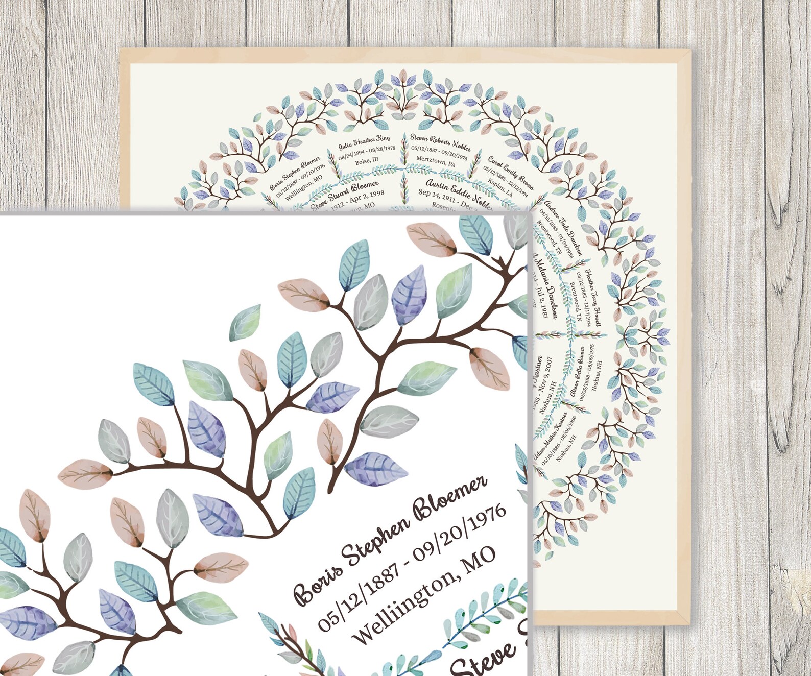 Family Tree Chart for 4 to 5 Generations. Round Tree With - Etsy Australia