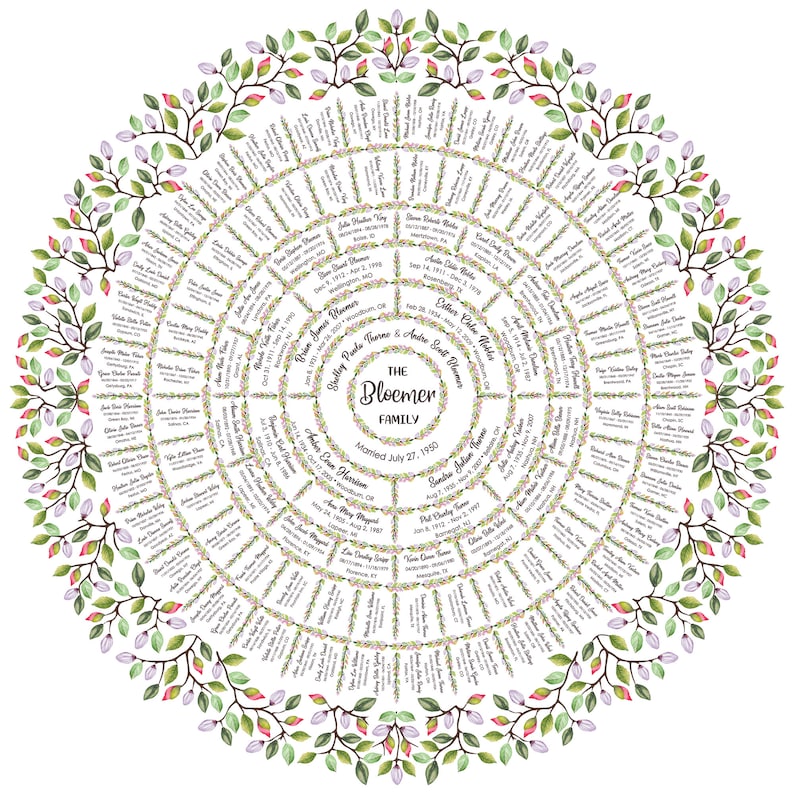 Family Tree Chart for 6 Generations. Round Tree With Leafy Ornament ...