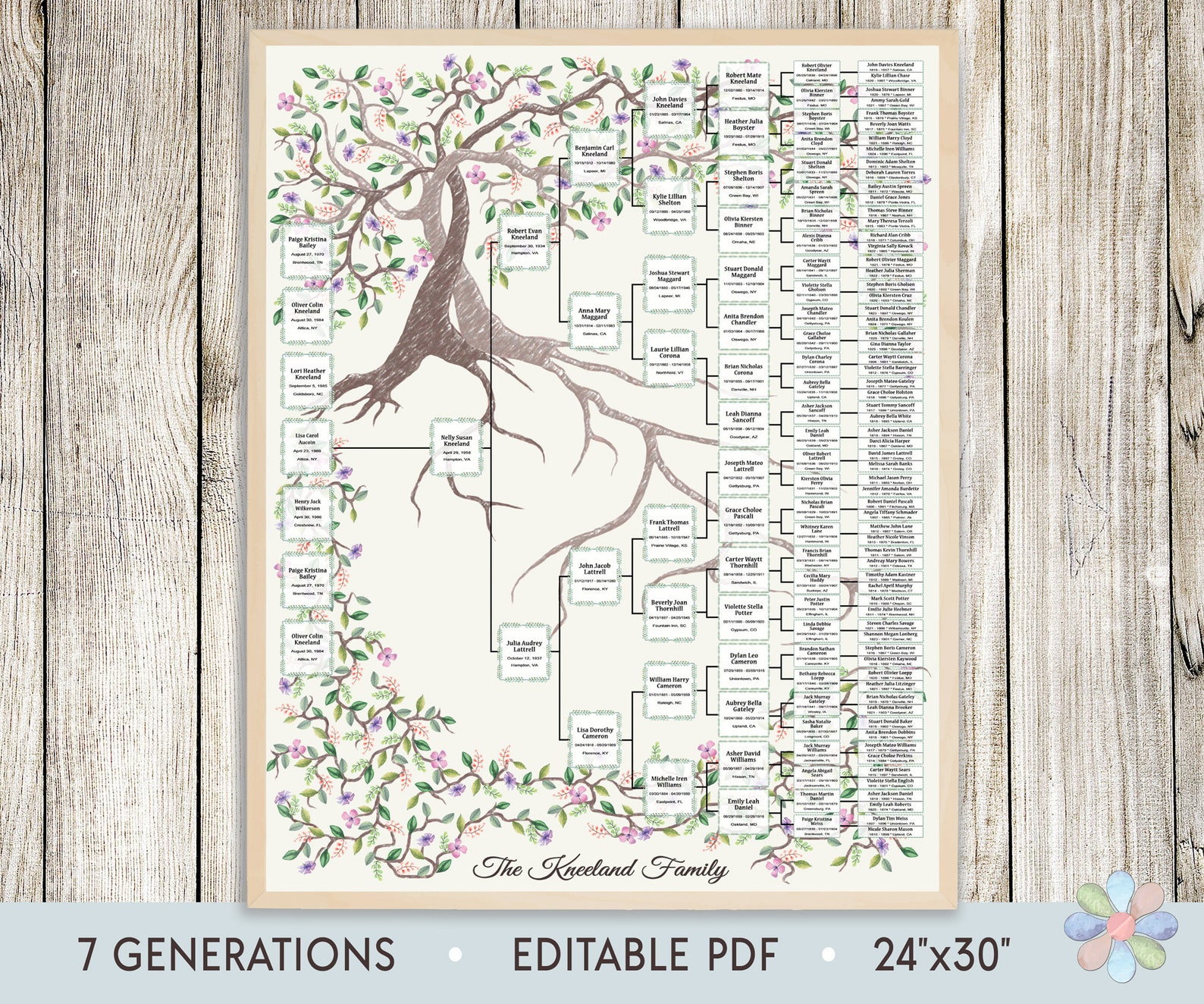 Family Tree Template for 7 Generations. Two Intertwining Trees | Etsy