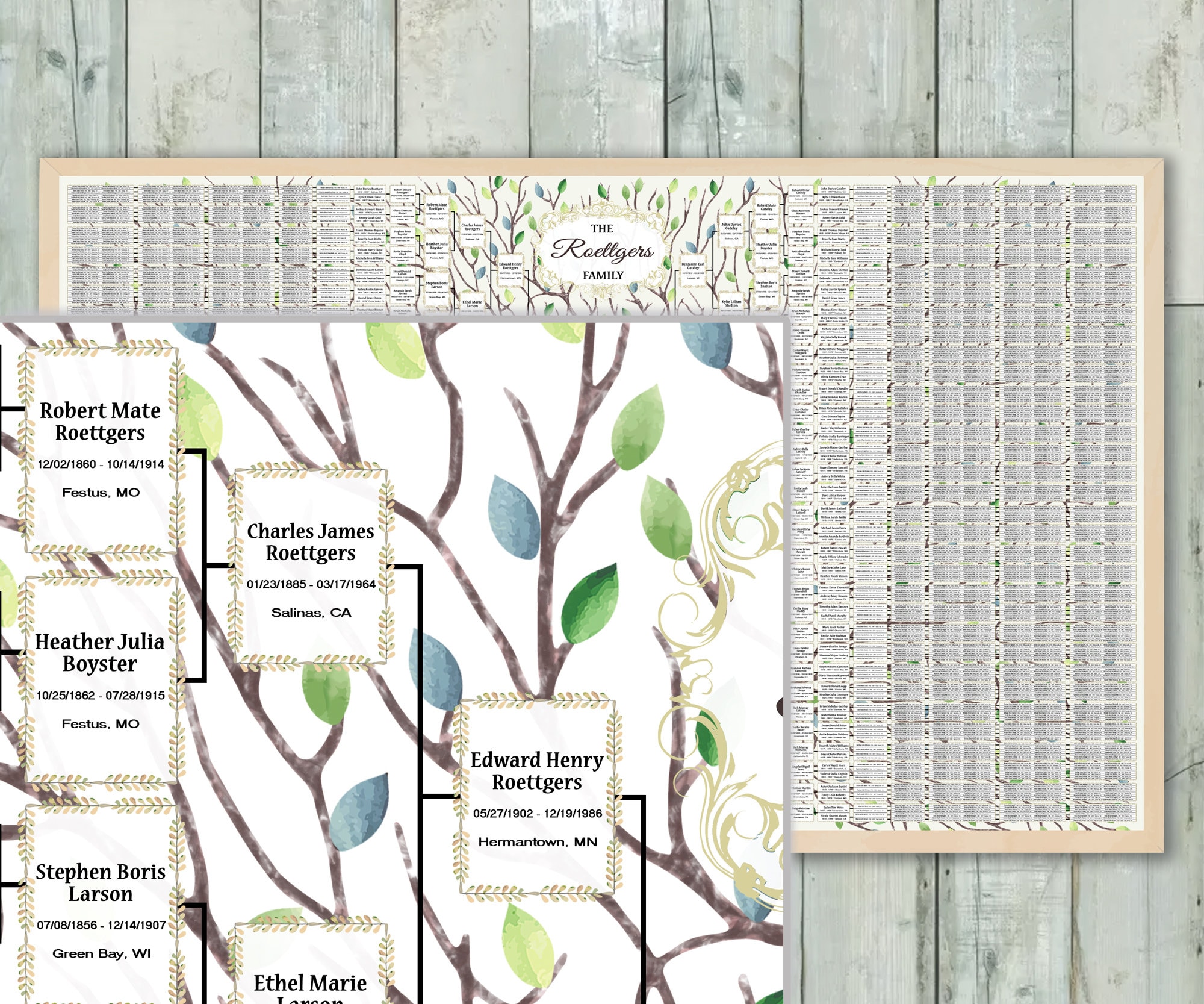 Family Tree Watercolor 11 Generations. Old Leafy Tree Large Roeti ...