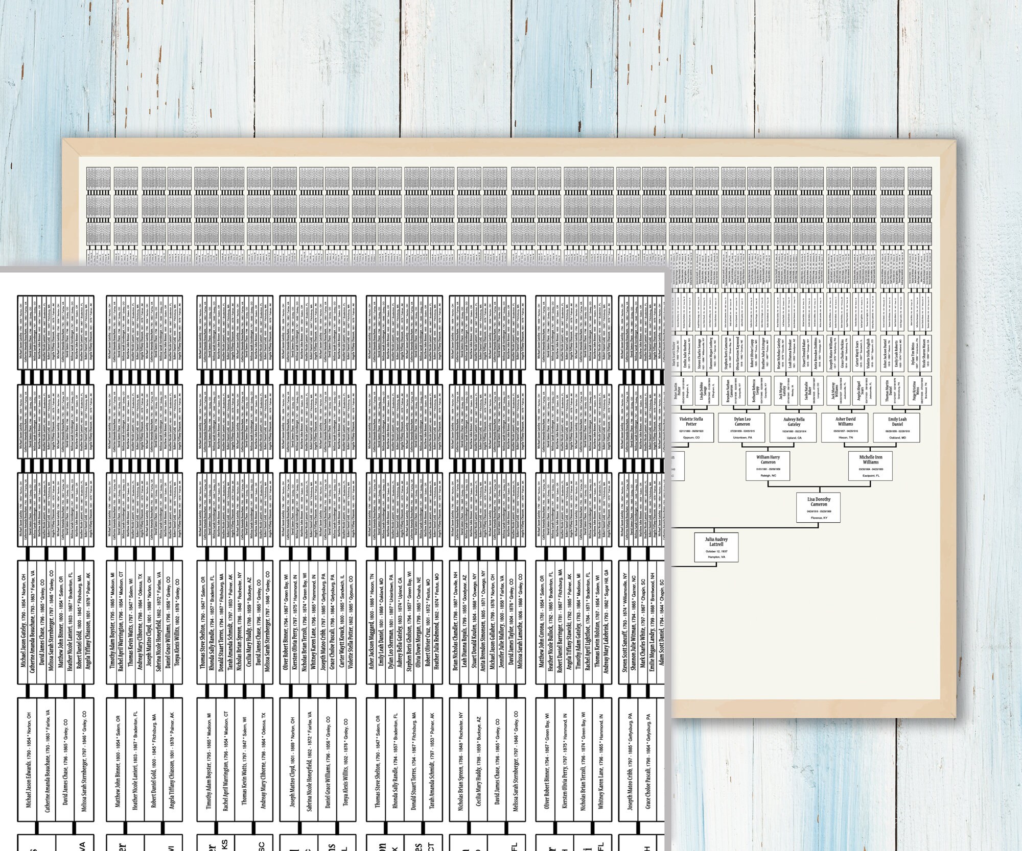 Family Tree Template for 11 Generations. Blank Edwwi Genealogy Family ...