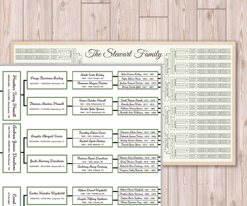 Family Tree Chart for 8 Generations. Tree With Roots Large Stivi Family ...