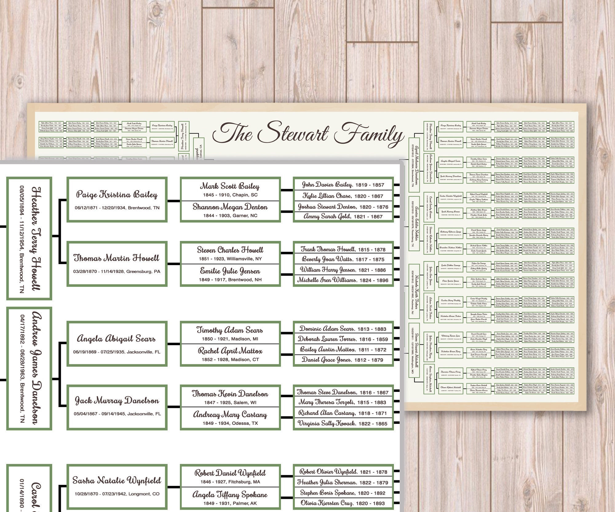 Family Tree Chart for 8 Generations. Tree With Roots Large Stivi Family ...