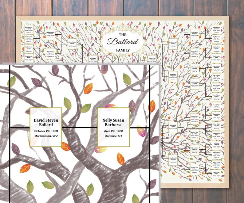 5 Generations Family Tree Template: Old Leafy Branched Trees Balli ...