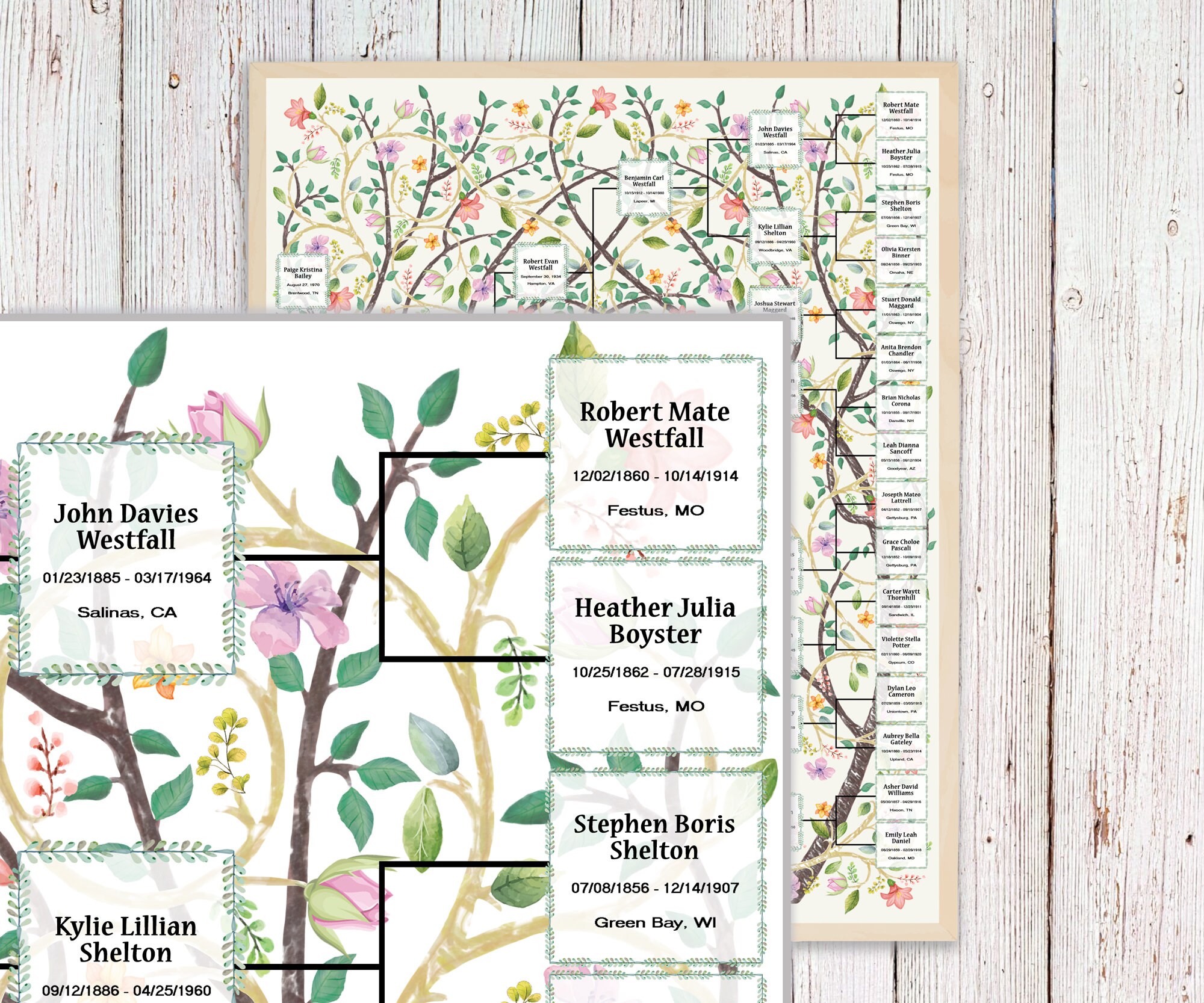 Family Tree Template for 5 Generations. Two Branched Intertwining Trees ...