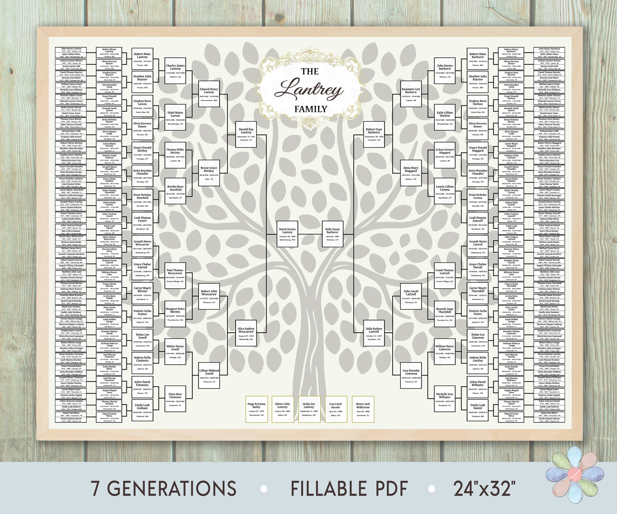 7 Generations Family Tree Template: Old Leafy Branched Tree Lantri ...