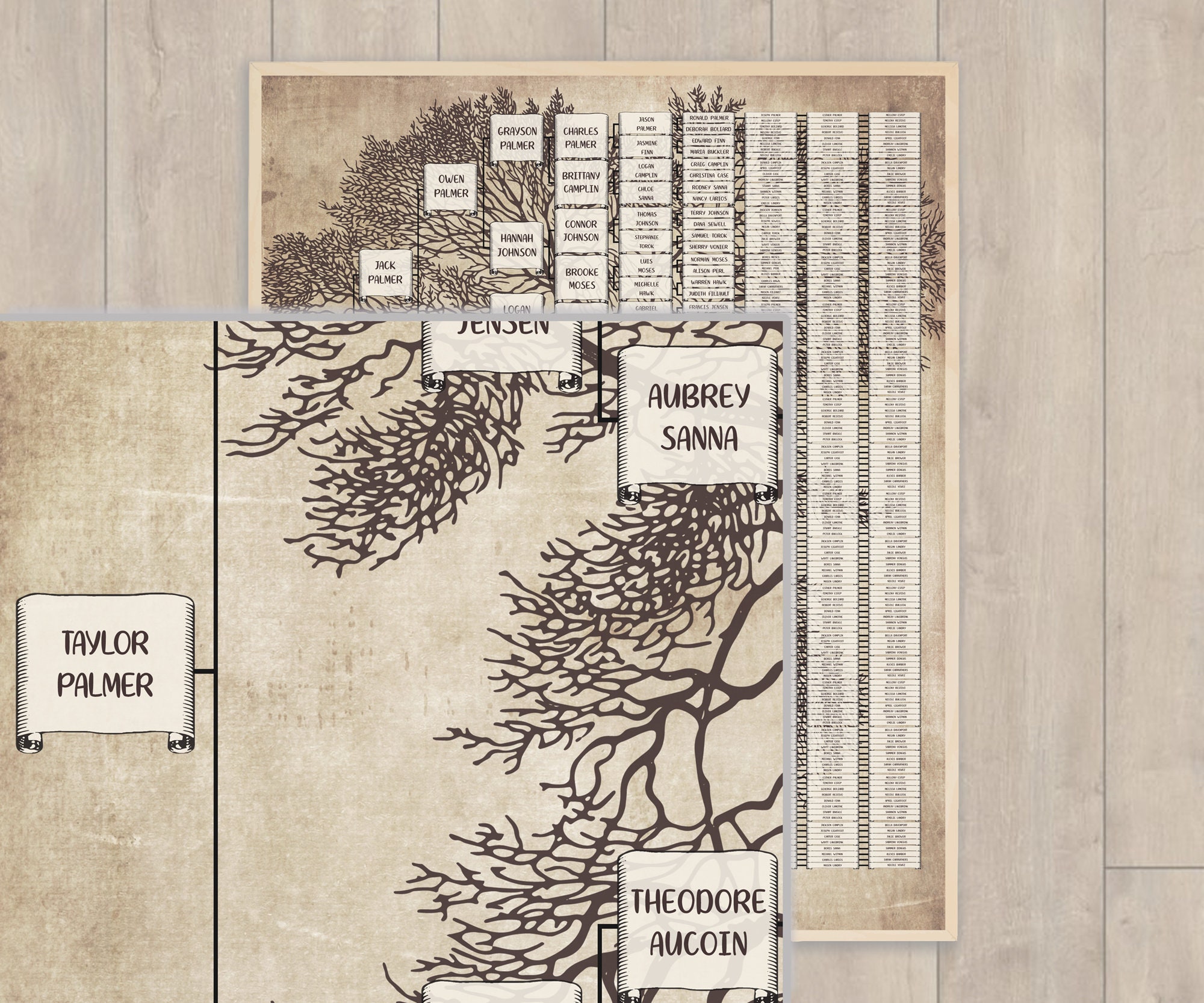 Family Tree Template for 9 Generations. Branched Black Poplar Palmi Family Tree. Family Tree ...