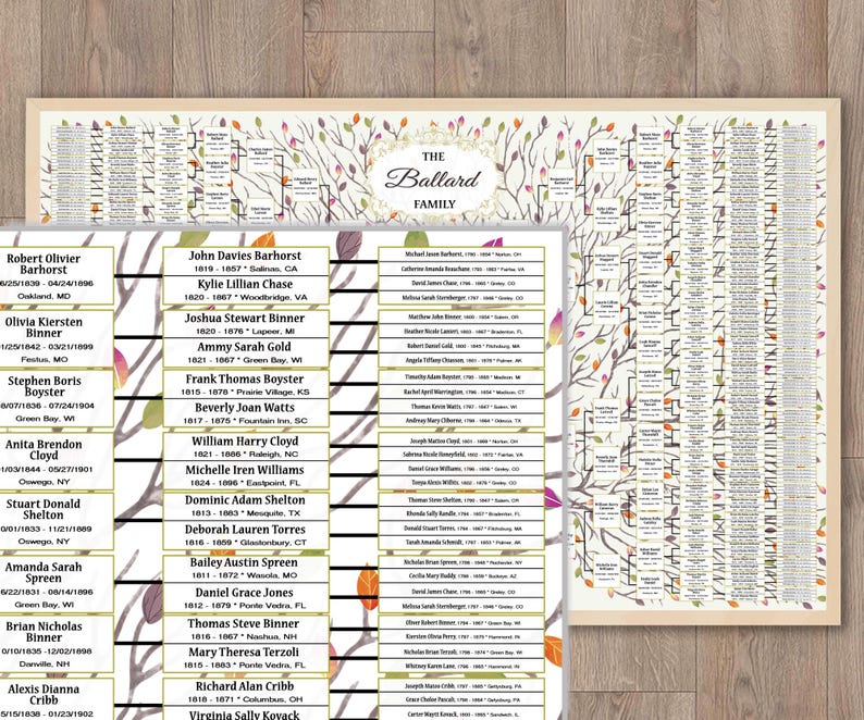 8 Generations Family Tree Template: Old Leafy Branched Trees Balli ...