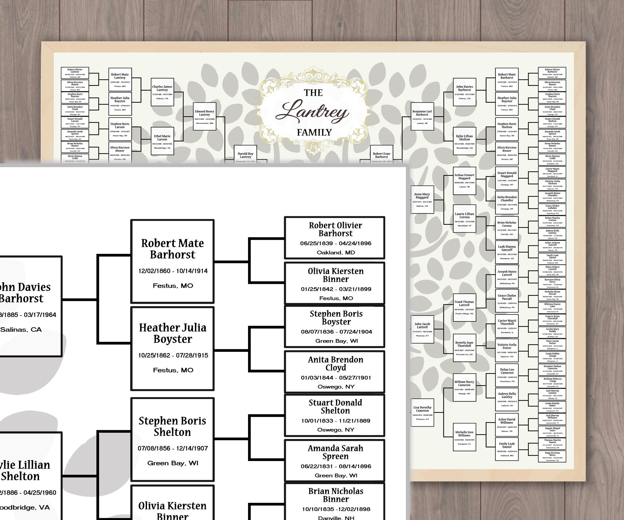 Family Tree Template for 6 Generations. Old Leafy Branched Tree Lantri ...