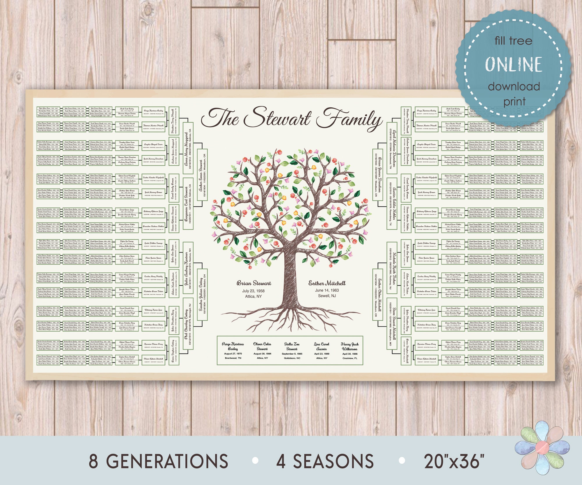 Family Tree Chart for 8 Generations. Tree With Roots Large Stivi Family ...