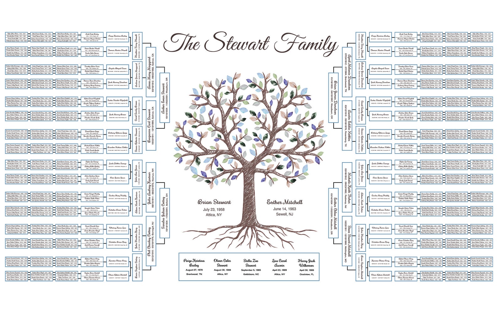 Family Tree Chart for 8 Generations. Tree With Roots Large Stivi Family ...
