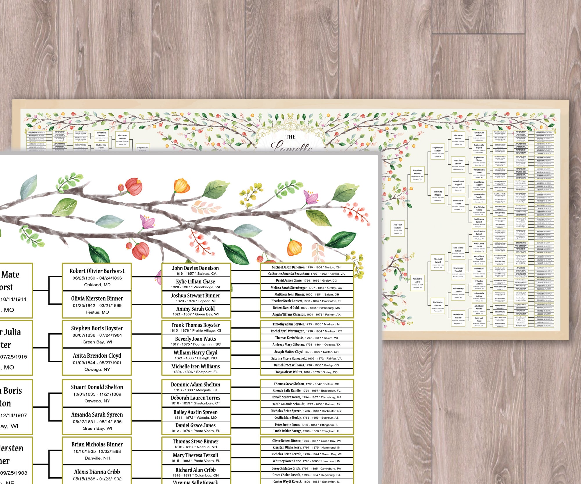 Family Tree Template for 8 Generations. Large Summer Lammi Family Tree ...