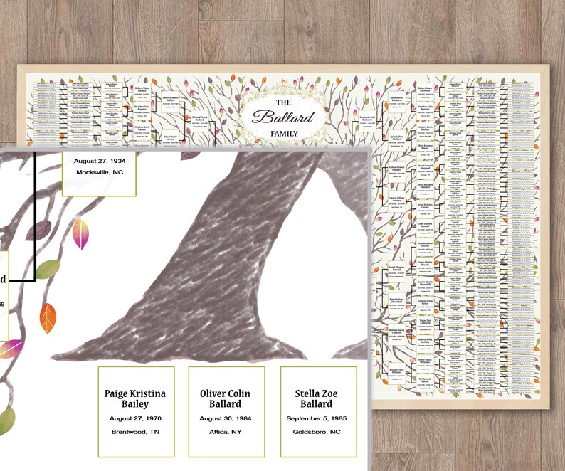 8 Generations Family Tree Template: Old Leafy Branched Trees Balli ...