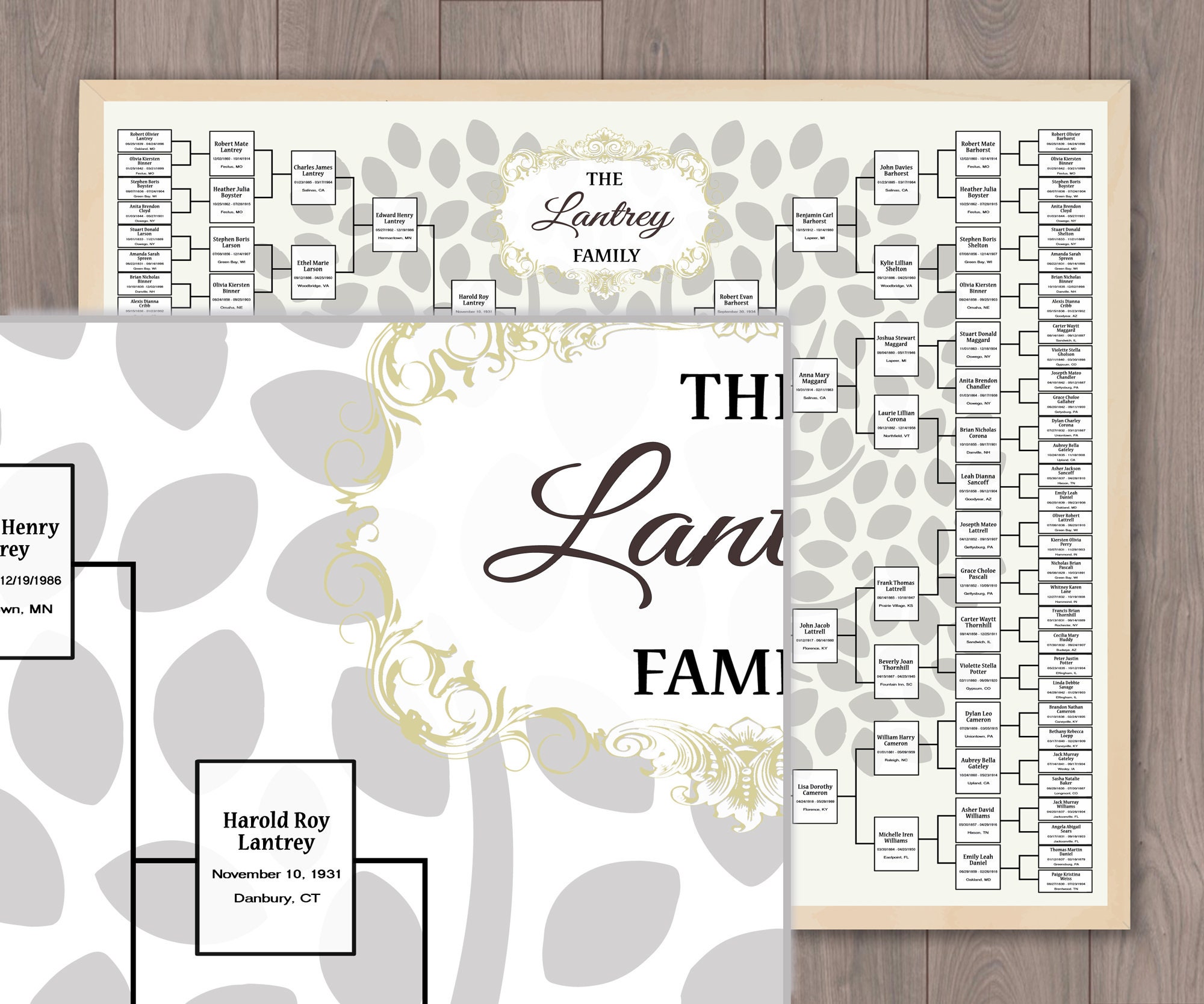 Family Tree Template for 6 Generations. Old Leafy Branched Tree Lantri ...