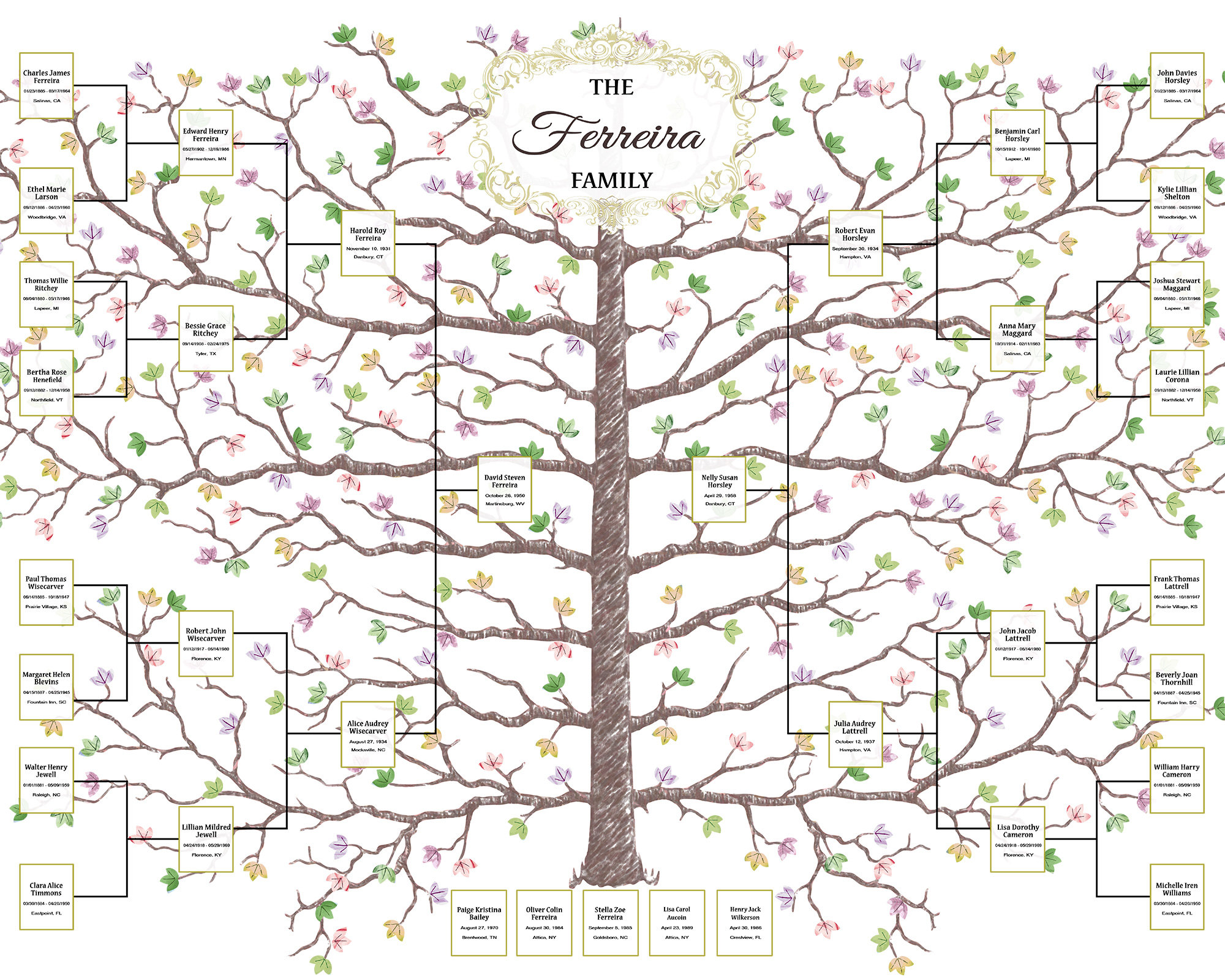 4 Generationen Familienstammbaum Verzweigter Baum Ferri Vier ...