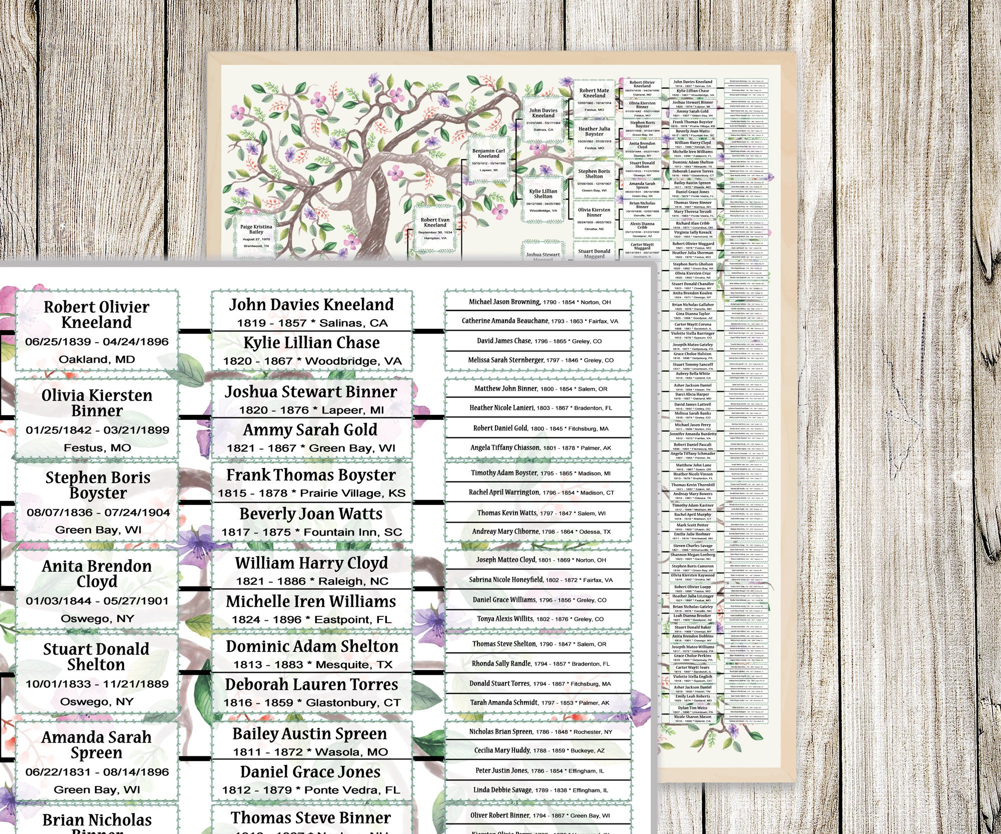 8 Generations Family Tree Chart Template: Two Intertwining Trees Kneli ...