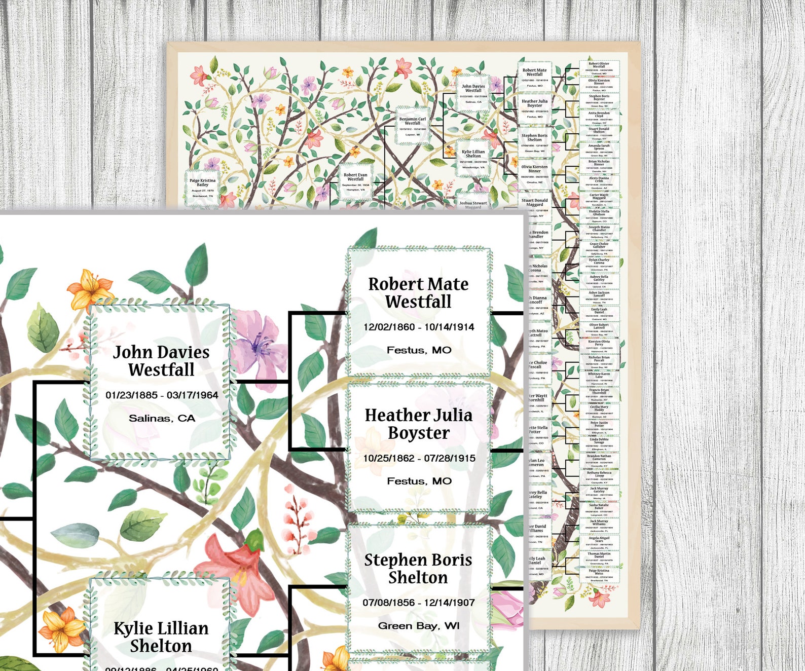 Family Tree Template for 6 Generations. Two Branched Intertwining Trees ...