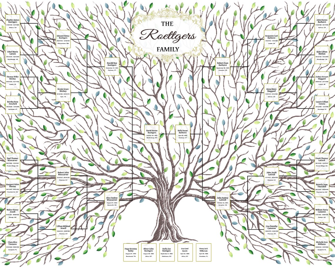 Family Tree Chart for 4 Generations. Old Leafy Tree Large Roeti Four ...