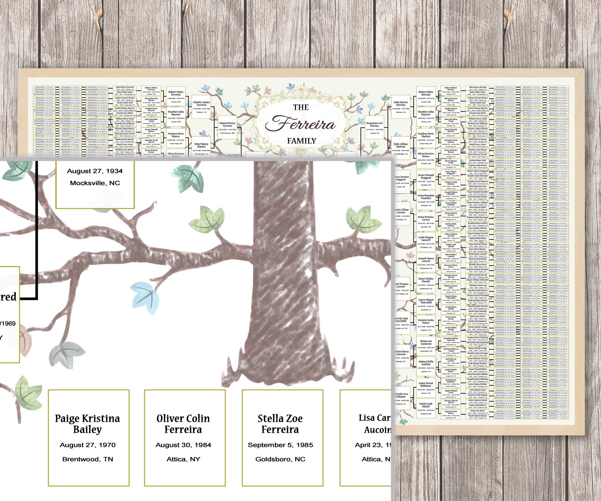 Family Tree Template for 9 Generations. Branched Tree Winter Ferri ...