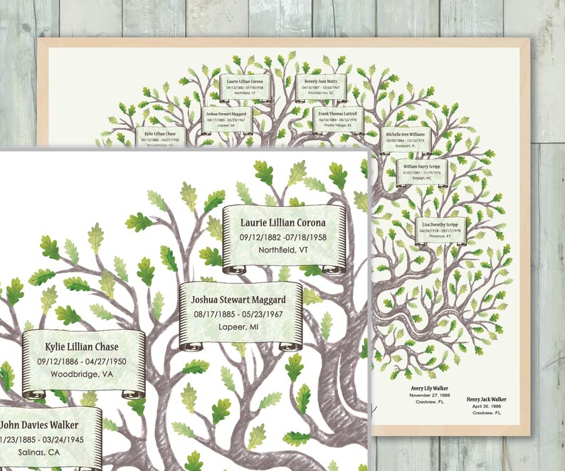 Family Tree Template for 4 Generations. Green Old Oak Tree Curved Trunk ...