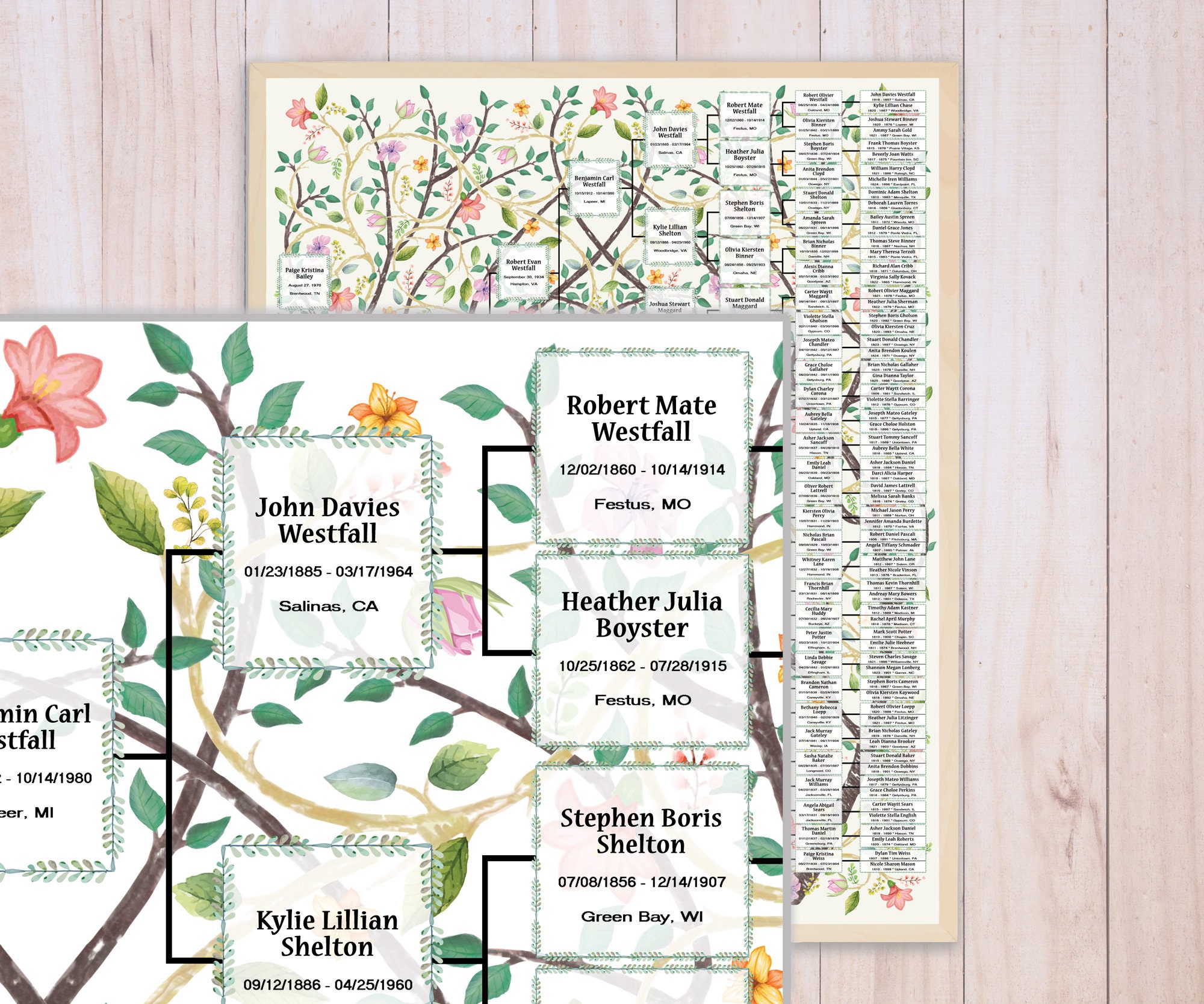 Family Tree Template for 7 Generations. Two Branched Intertwining Trees ...