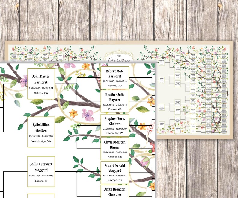 Family Tree Template for 7 Generations. Two Branched Intertwining Large ...