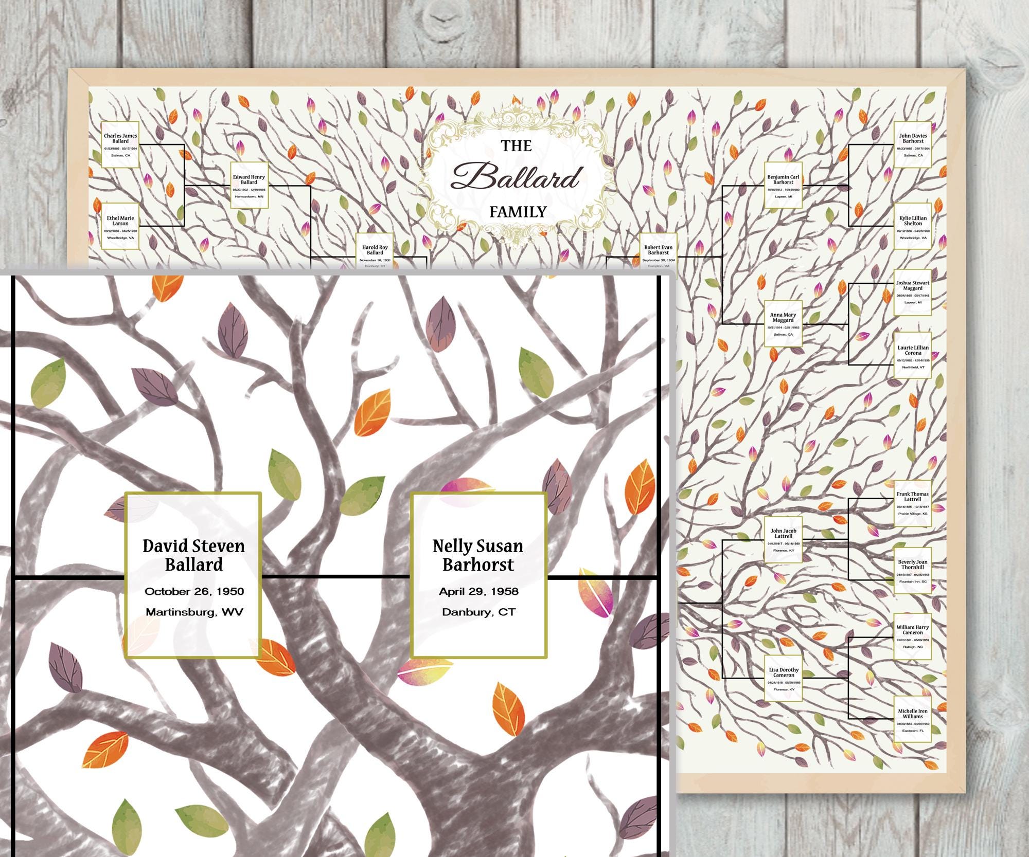 Family Tree Template for 4 Generations. Couple Old Leafy Branched Trees ...