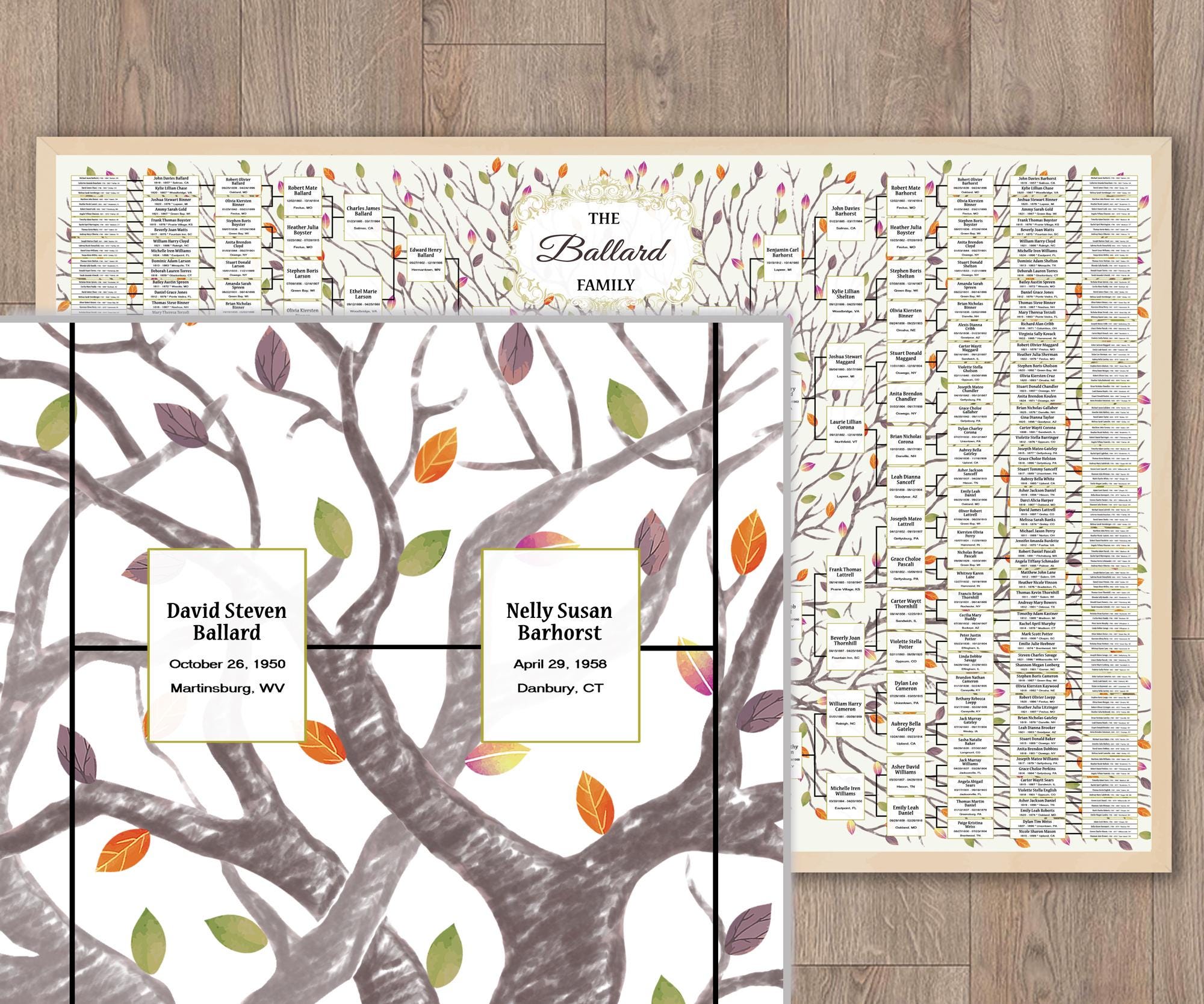 8 Generations Family Tree Template: Old Leafy Branched Trees Balli ...