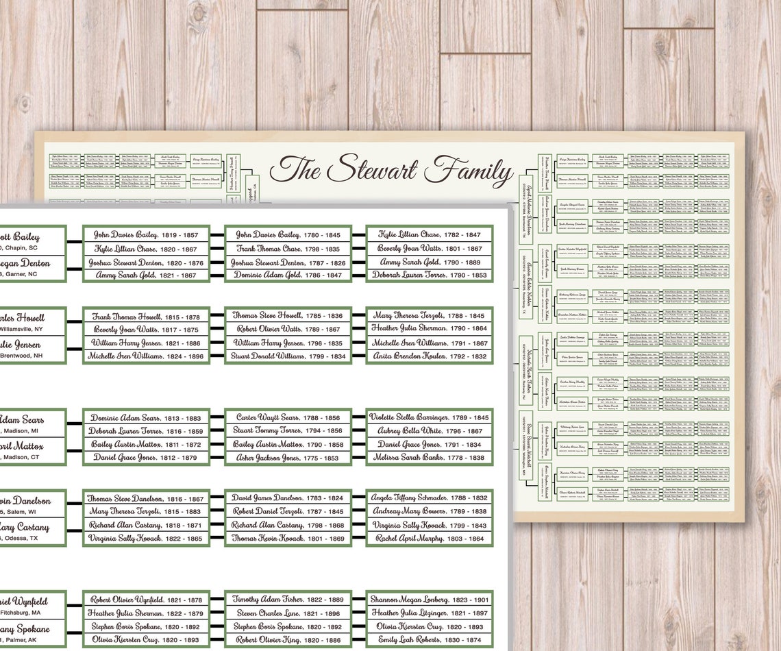 Family Tree Chart for 8 Generations. Tree With Roots Large Stivi Family ...