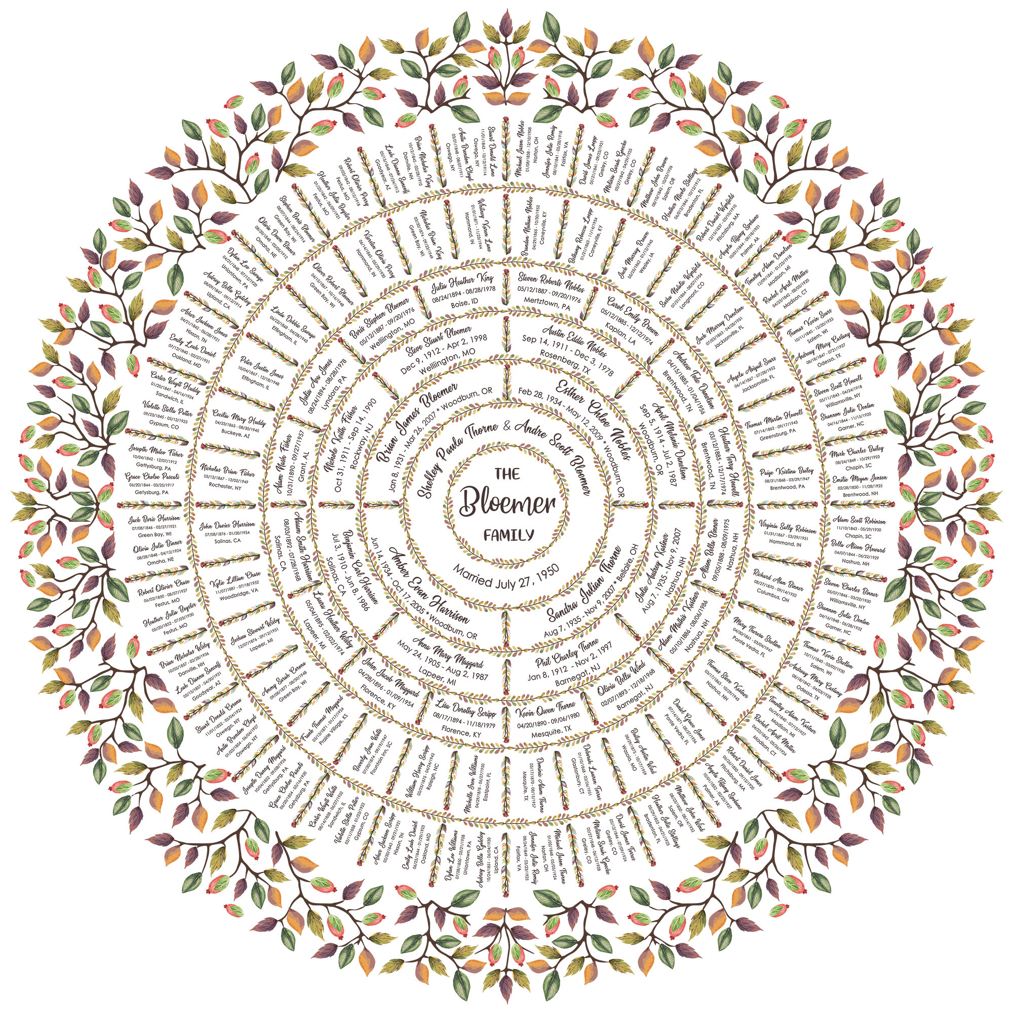 Family Tree Chart for 6 Generations. Round Tree With Leafy Ornament ...