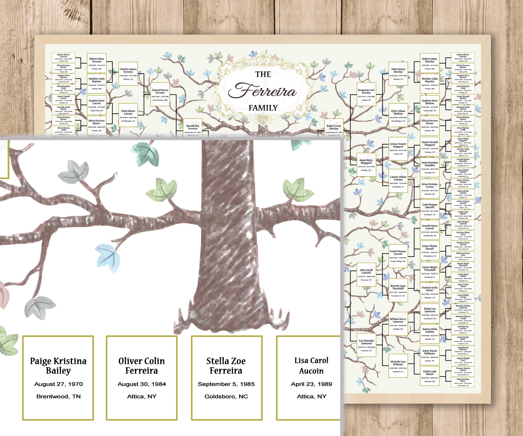 Family Tree Template for 6 Generations. Branched Tree Winter Ferri ...
