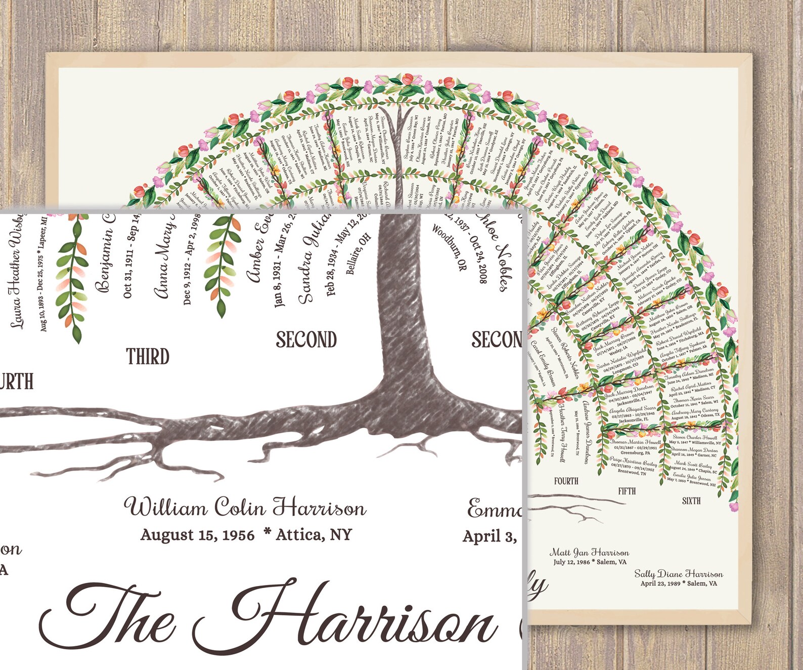 Family Tree Chart for 6 Generations. Tree With Roots Robi - Etsy UK