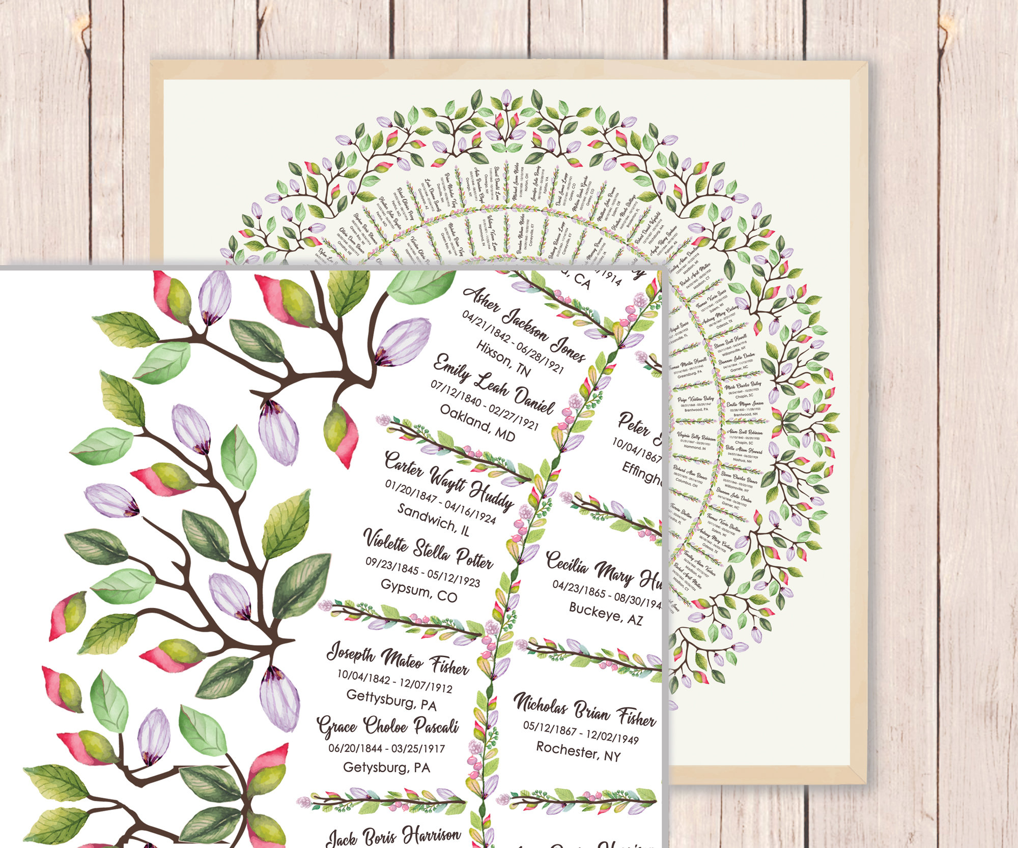 Family Tree Chart for 6 Generations. Round Tree With Leafy Ornament ...