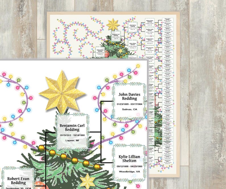 6 Generations Family Tree Template: Evergreen Tree With Lights Reddi ...