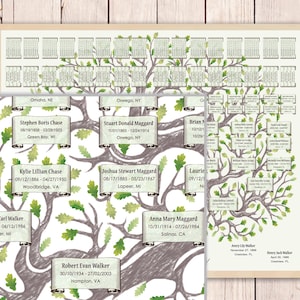 Family Tree Template for 8 Generations. Green Old Oak Tree Curved Trunk ...