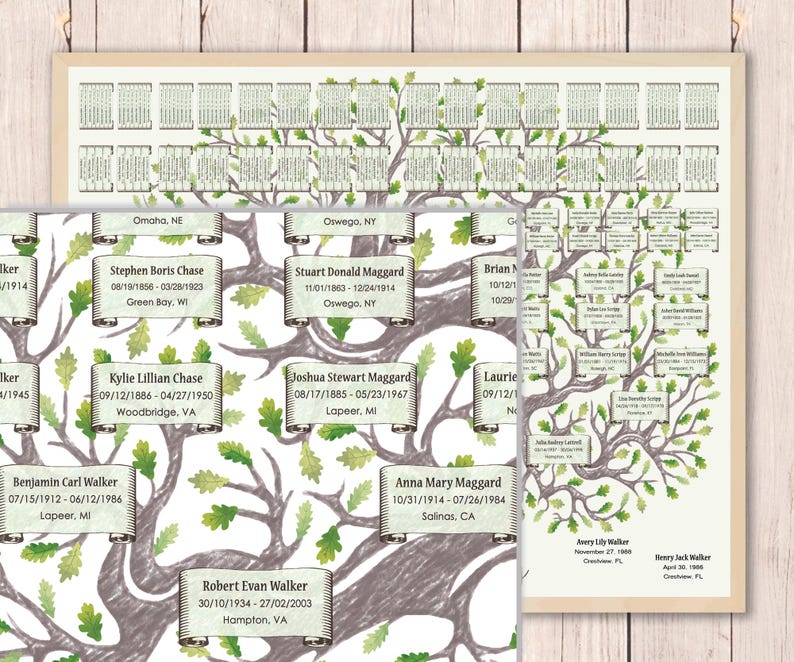 Family Tree Template for 8 Generations. Green Old Oak Tree Curved Trunk ...