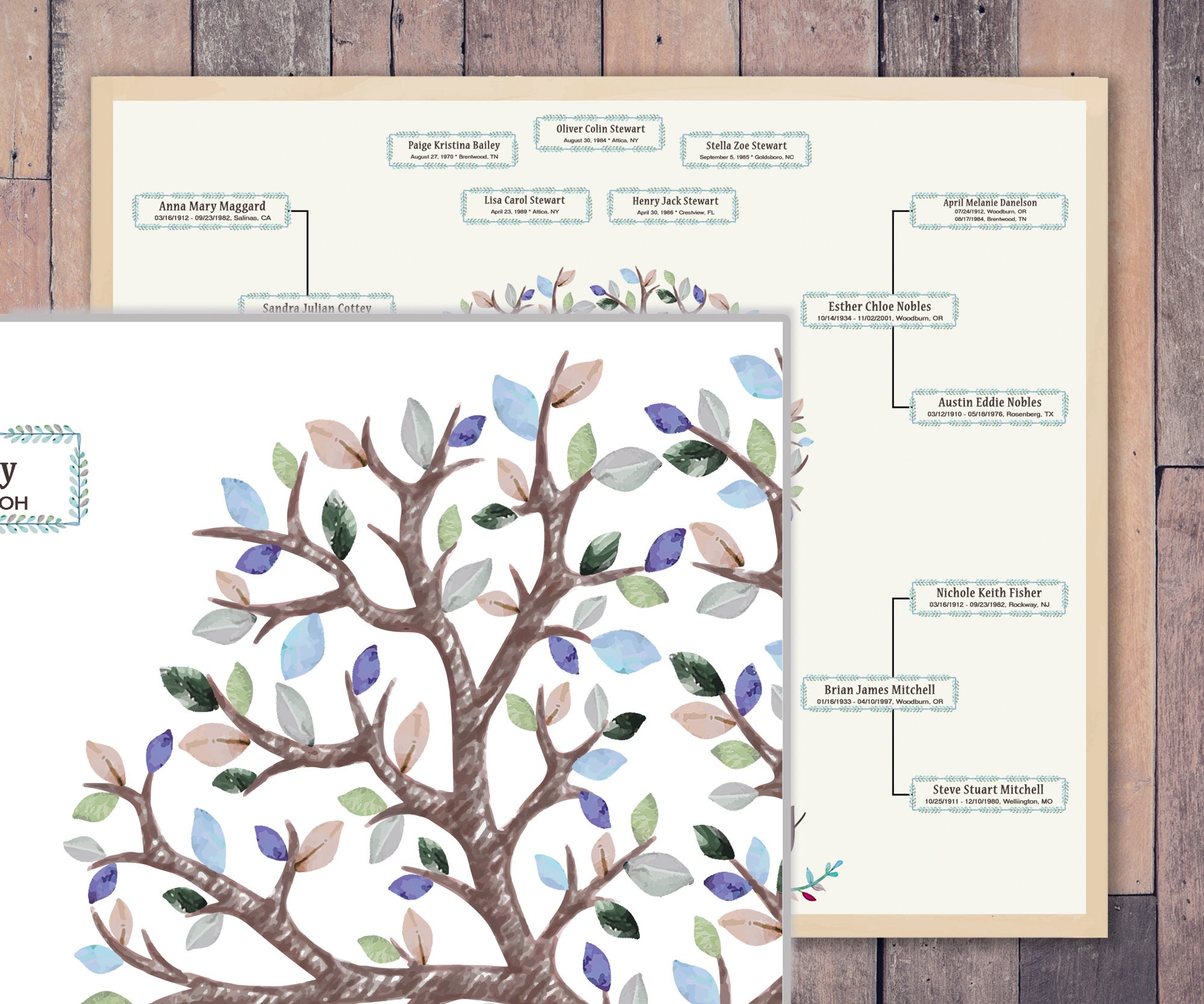 3 Generations Family Tree Template: Large Winter Tree With Roots ...
