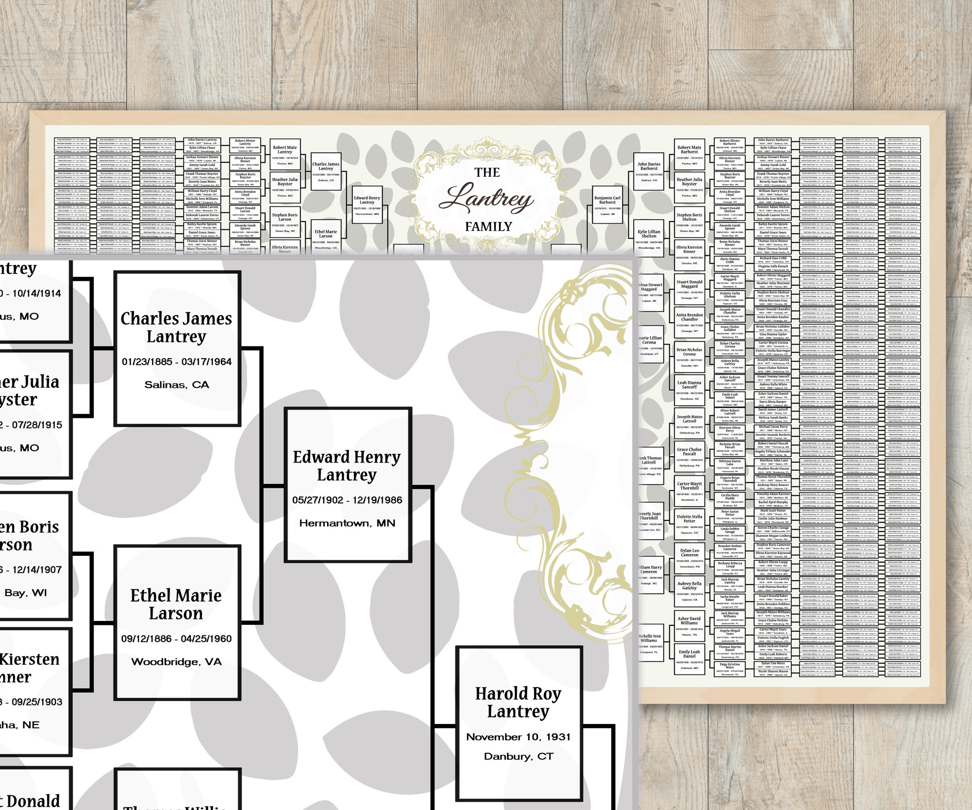 9 Generations Family Tree Template: Old Leafy Branched Tree Lantri ...