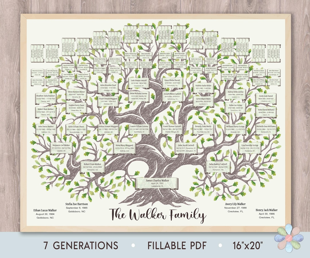 7 Generations Family Tree Template: Green Oak Curved Trunk Walki ...