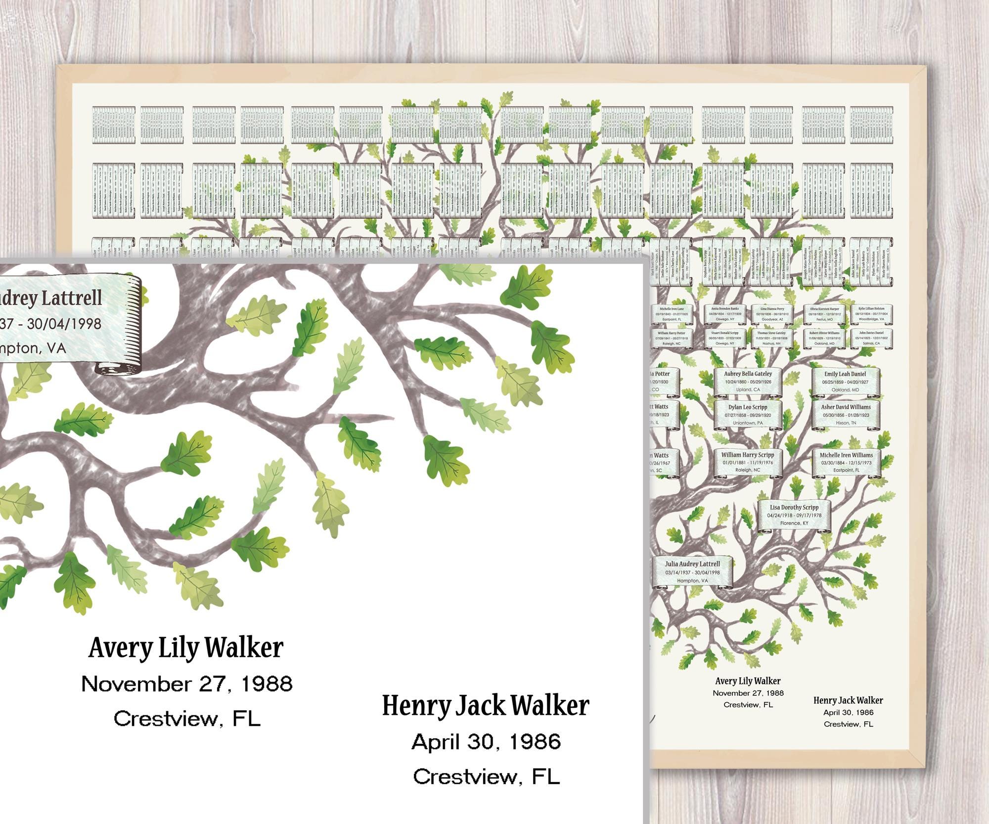 9 Generations Family Tree Template: Green Oak Curved Trunk Walki ...