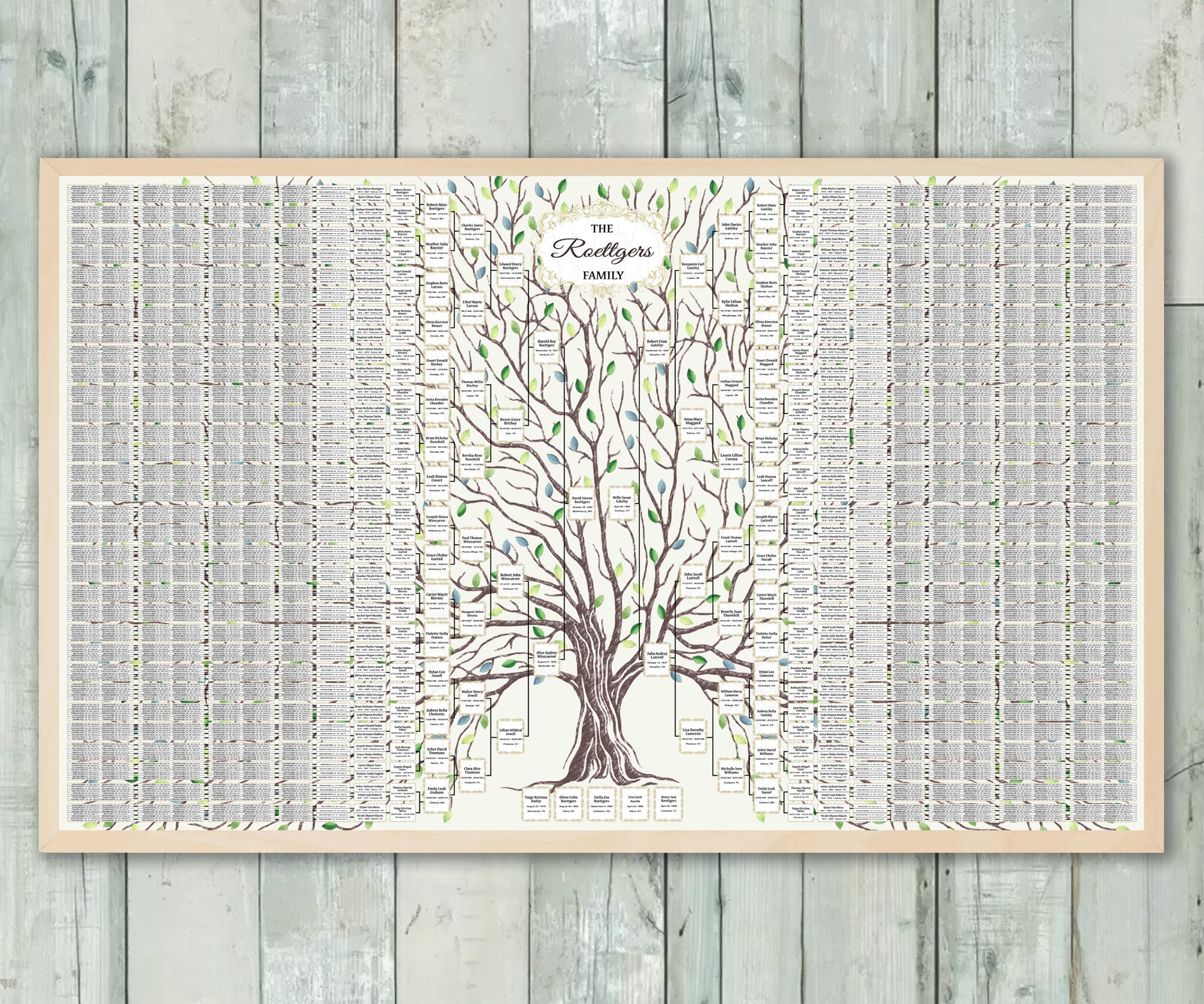 Family Tree Watercolor 11 Generations. Old Leafy Tree Large Roeti ...