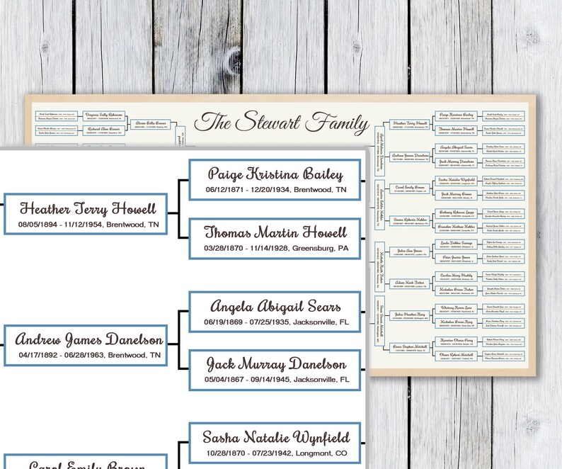6 Generations Family Tree: Tree With Roots Large Stivi Template (corjl ...