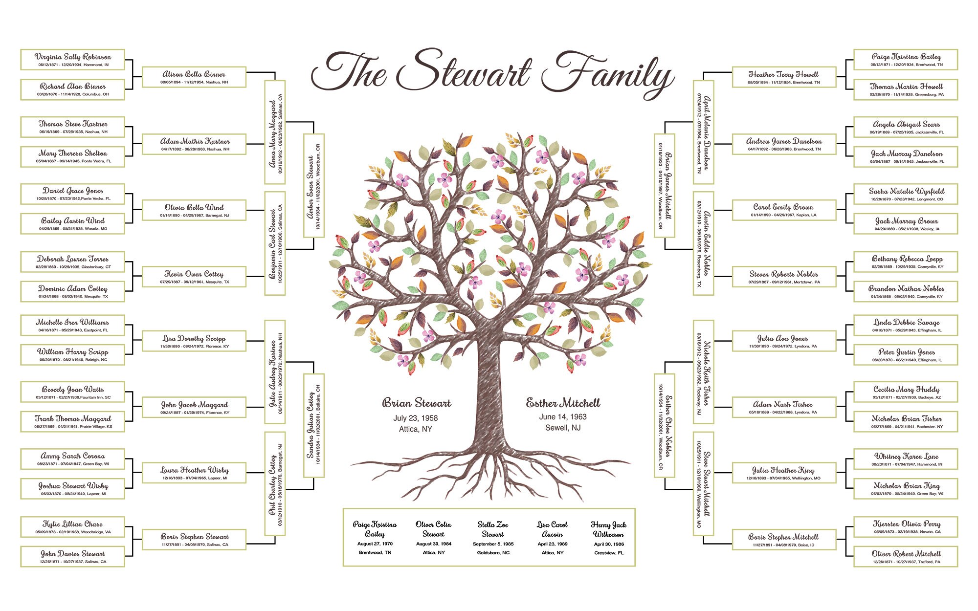 4-5 Generations Family Tree: Chart With Roots Large Stivi Genealogy ...